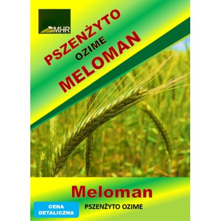 Nasiona pszenżyta ozimego – MELOMAN