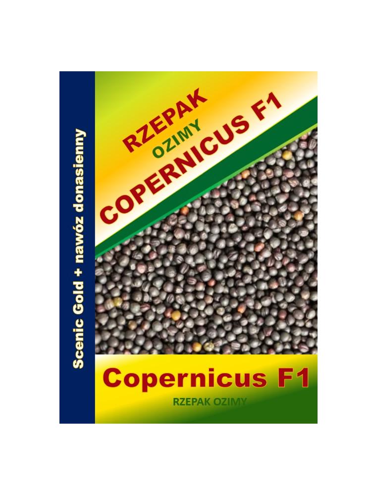 Nasiona rzepaku ozimego Monolit